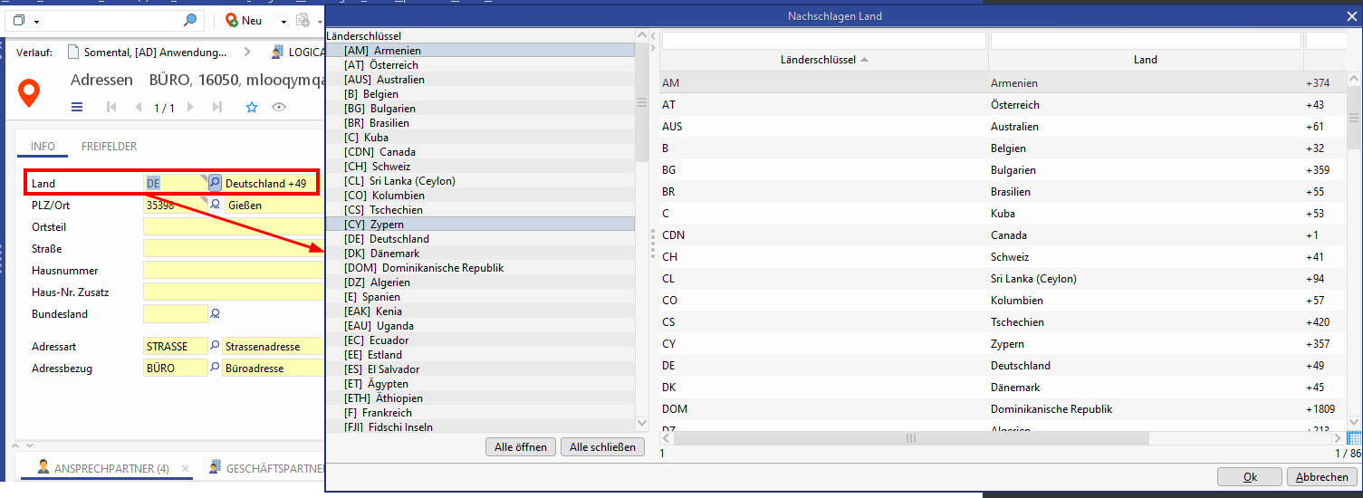 ZIP codes, districts, streets, country key
